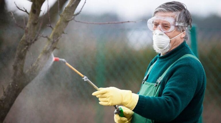 Stropiri pomi primavara